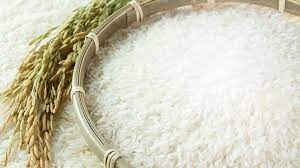Rice market Update: win big with exports in 2023